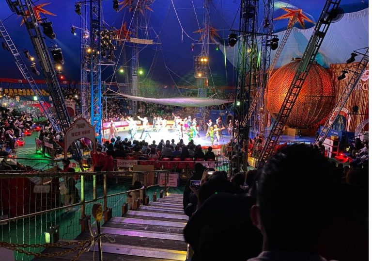 木下大サーカスが大阪で公演、行ってみた感想・席はどこがいい？ | YUZUKA NOTE