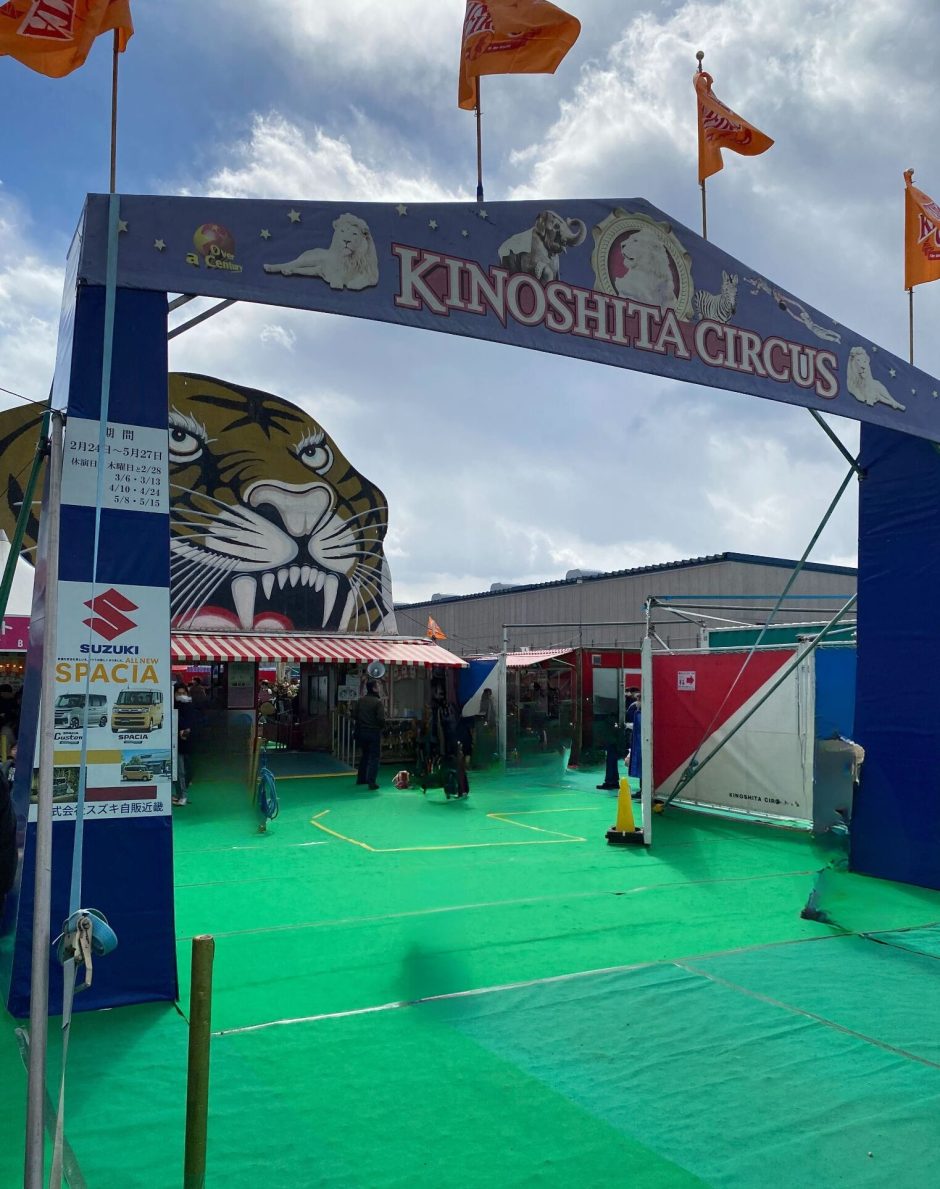 木下大サーカスが大阪で公演、行ってみた感想・席はどこがいい？ | YUZUKA NOTE